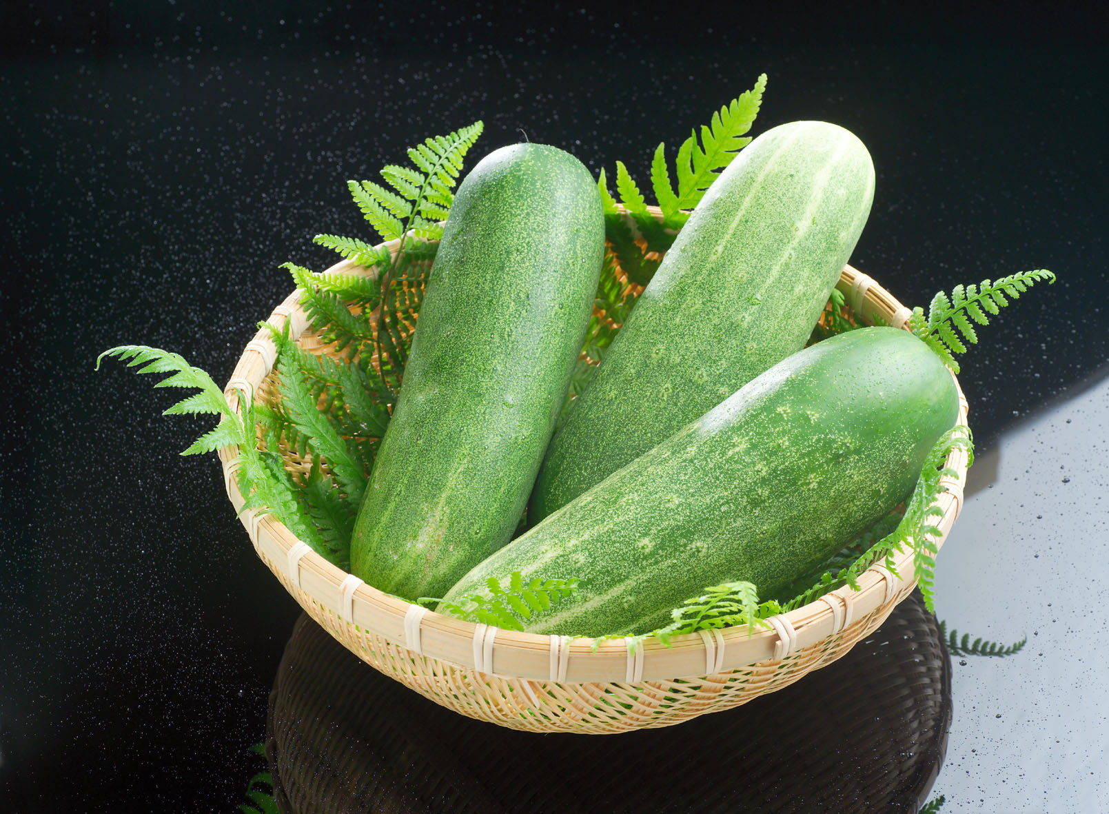 Kaga futo-kyuri cucumber | Ishikawa Foods | ISHIKAWA FOODishbook